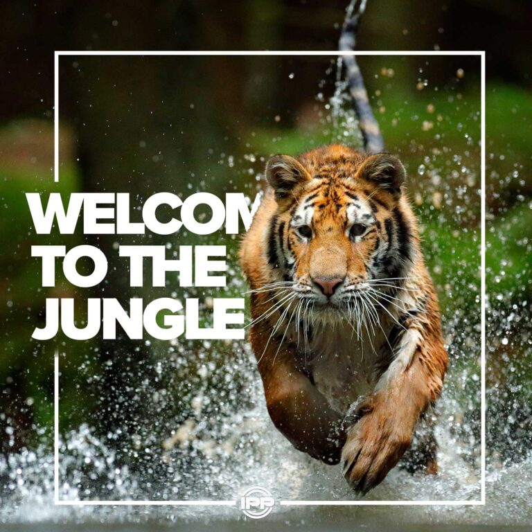 New USASF Rules and Age Grids for the 2024-2025 Season - 2025